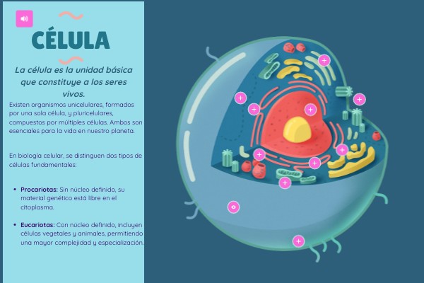 Célula eucariota | Genially