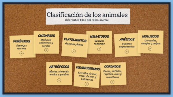 Clasificación de los animales | Genially