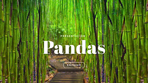 Pandas | Genially