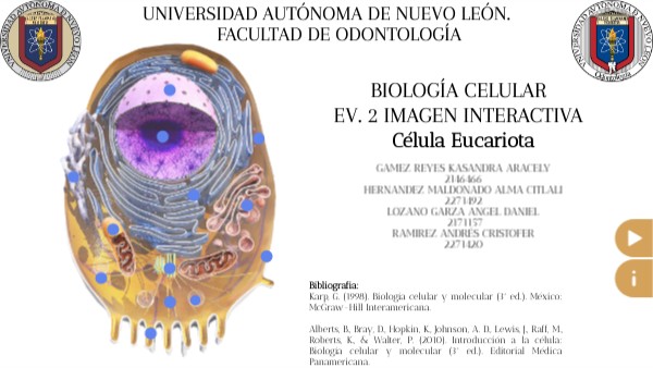 Ev. 2 Imagen Interactiva | Genially