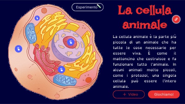 La cellula animale | Genially