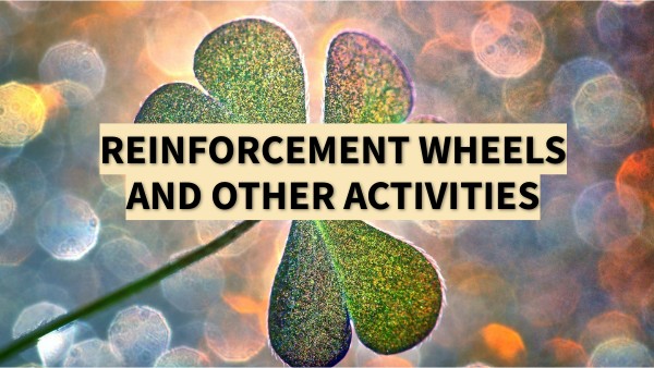 Reinforcement Activities Unit 3 1eso Pearson | Genially