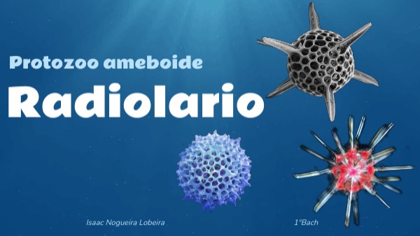 Radiolario | Genially