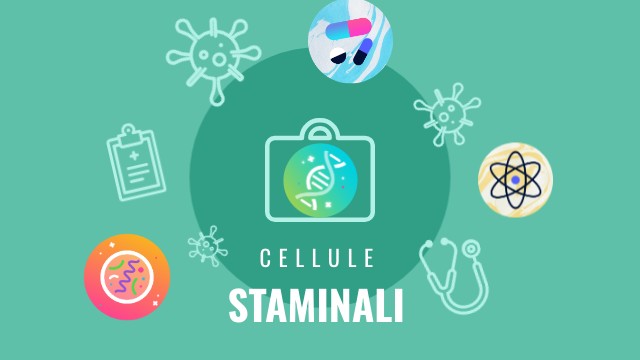 STAMINALI | Genially