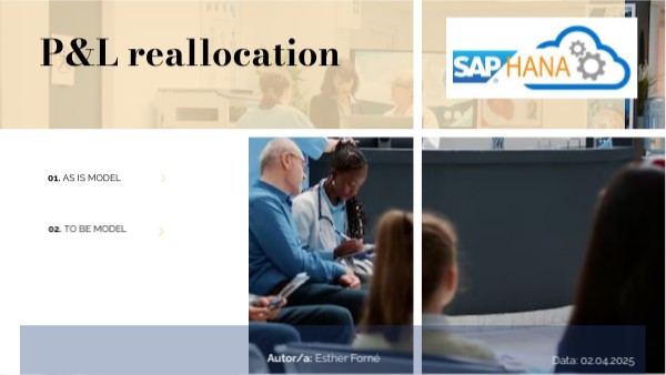 P&L reallocation | Genially