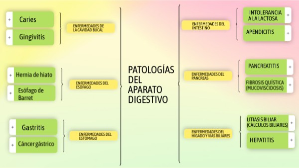 PATOLOGÍAs DEL APARATO DIGESTIVO | Genially
