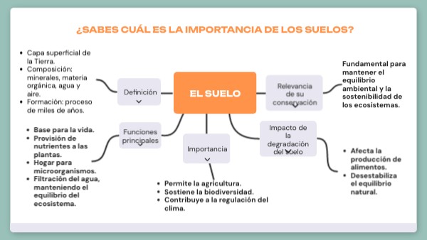 ¿Sabes cuál es la importancia de los suelos? | Genially