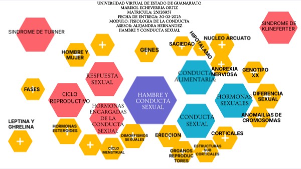 R.3 HAMBRE Y CONDUCTA SEXUAL | Genially