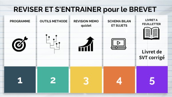 REVISION DNB | Genially