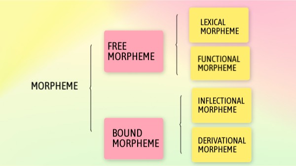 Morpheme | Genially