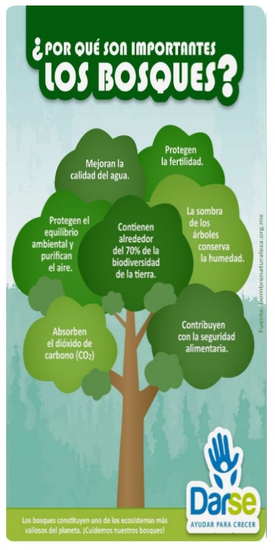 emerald corp | Genially