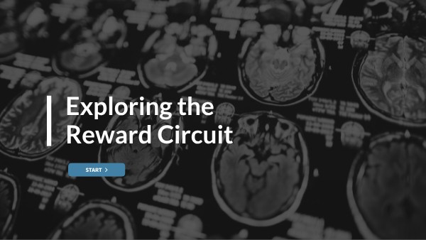 The Reward Circuit | Genially