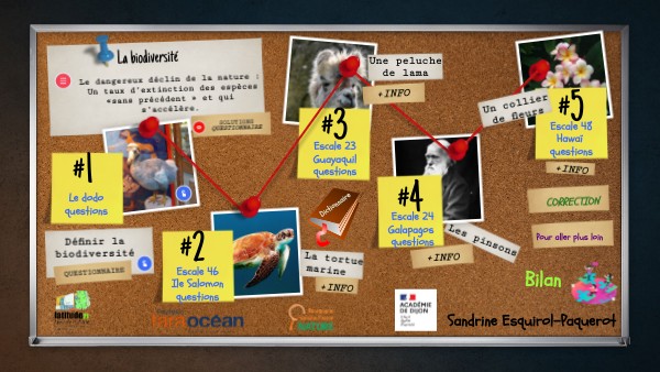 La Biodiversité | Genially