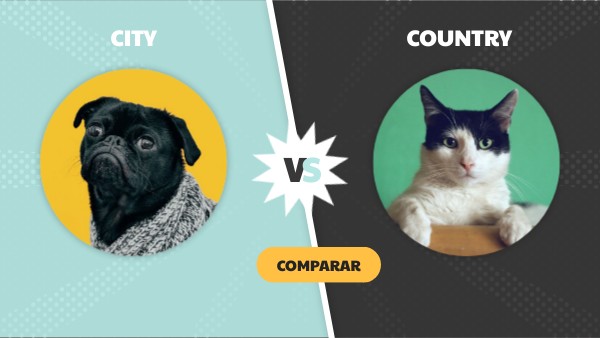 City vs. Country | Genially