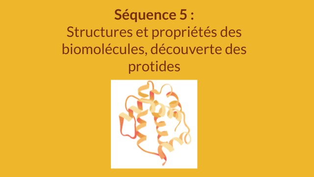 Thème 1 : Séquence 5 BB | Genially