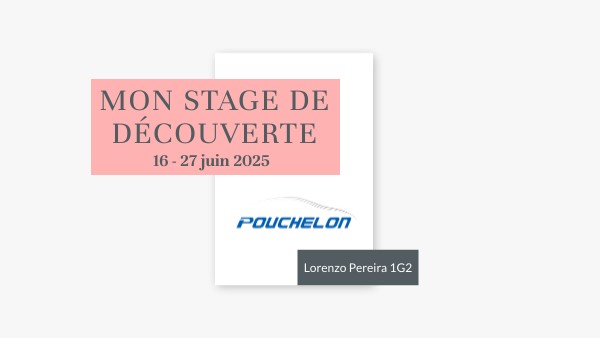 Mon Stage de découverte | Genially