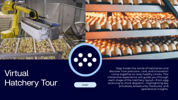 Virtual Hatchery Tour | Genially