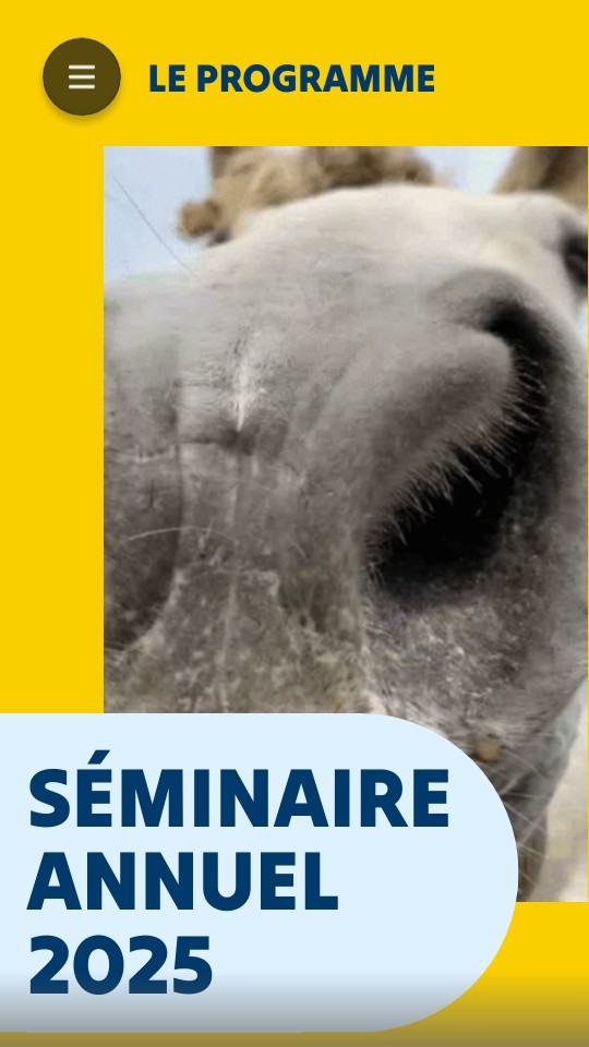 SÉMINAIRE ANNUEL 2025 | Genially