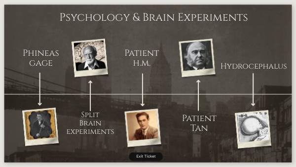 Psychology & Brain Experiments | Genially