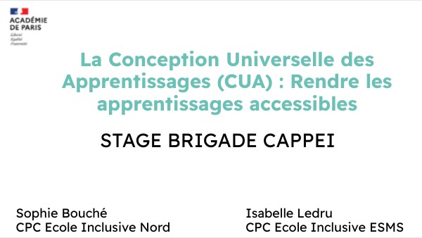 STAGE BRIGADE CAPPEI - CUA | Genially