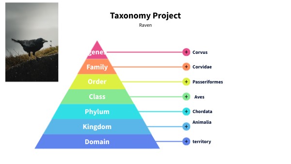 Taxonomy Project | Genially
