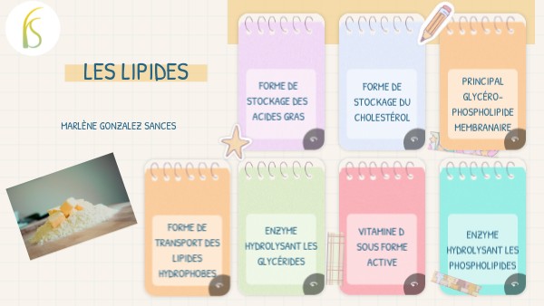 Les lipides | Genially