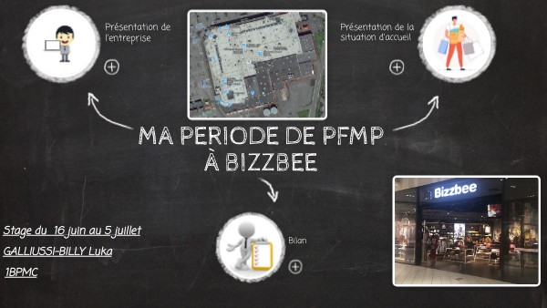 Ma periode de pfmp à bizzbee | Genially