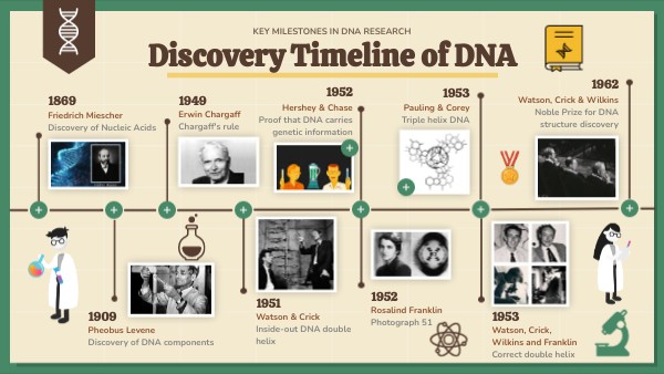Discovery Timeline of DNA | Genially