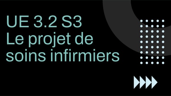 UE 3.2 S3 Le projet de soins infirmiers | Genially