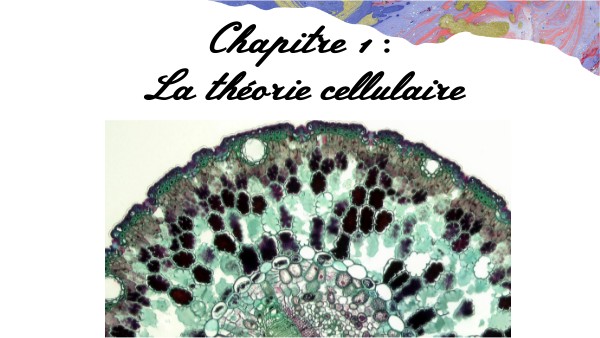 Chapitre 1 : La théorie cellulaire | Genially