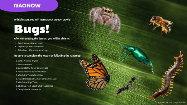 Pre-Level 1 - Bugs | Genially