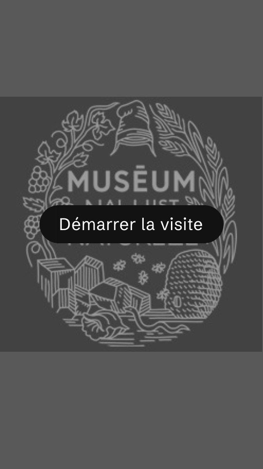 Galerie de l'évolution | Genially