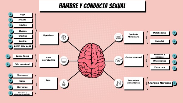 Hambre y conducta sexual | Genially