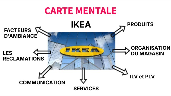 CARTE MENTALE | Genially