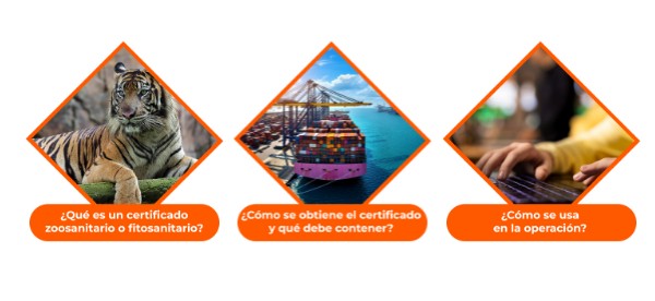 DER2552_U3_T2_Timeline | Genially