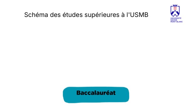 Schéma des études | Genially