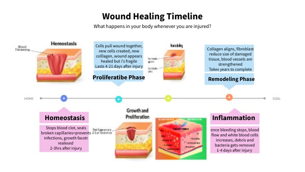 Wound Healing Timeline | Genially
