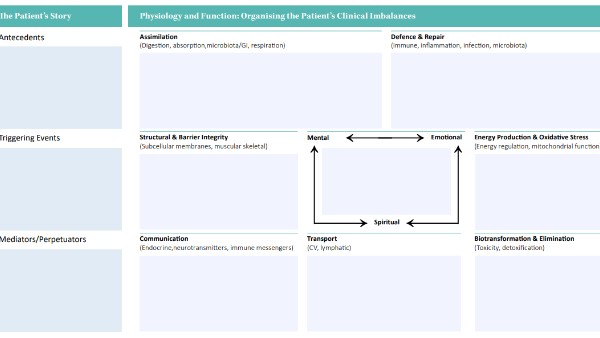 Functional Medicine Matrix - Interactive | Genially