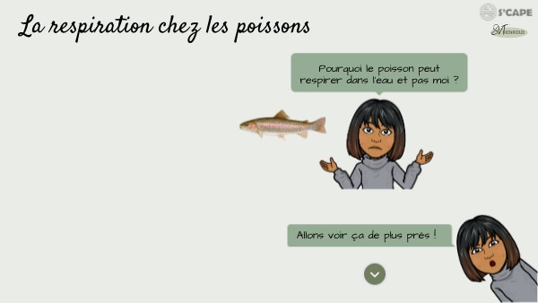 La respiration chez les poissons | Genially