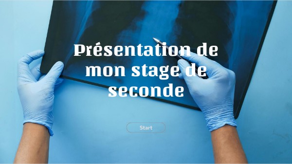 Présentation de mon stage de seconde | Genially