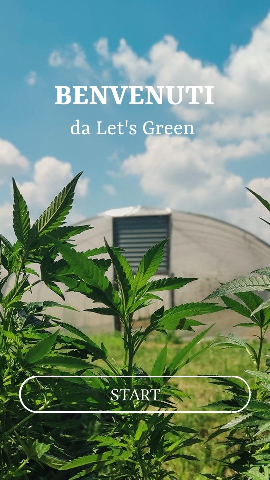 Benvenuti | Genially