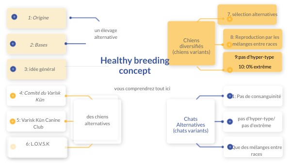 Healthy breeding concept | Genially