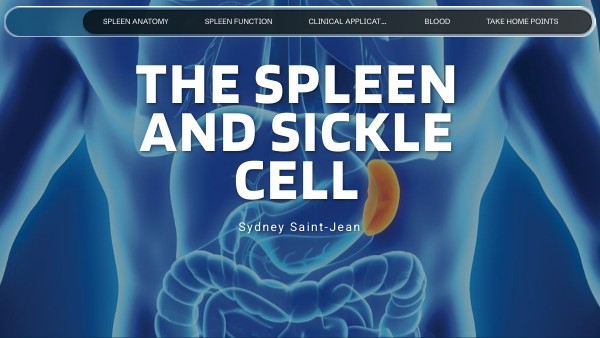 the spleen and sickle cell | Genially
