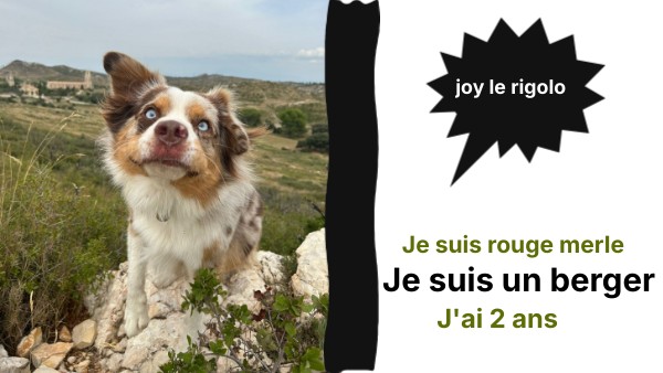 joy le rigolo | Genially