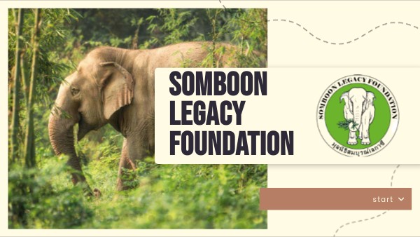 somboon legacy foundation | Genially