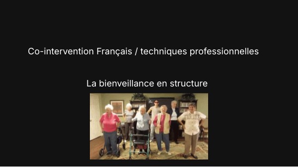 Co-intervention Français / techniques professionnelles | Genially