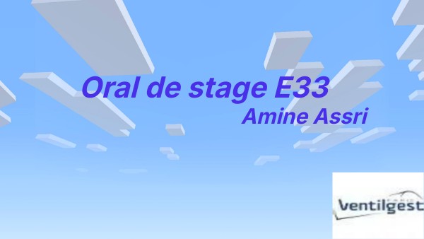 Oral de stage E33 | Genially