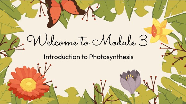 Module 3 Introduction | Genially