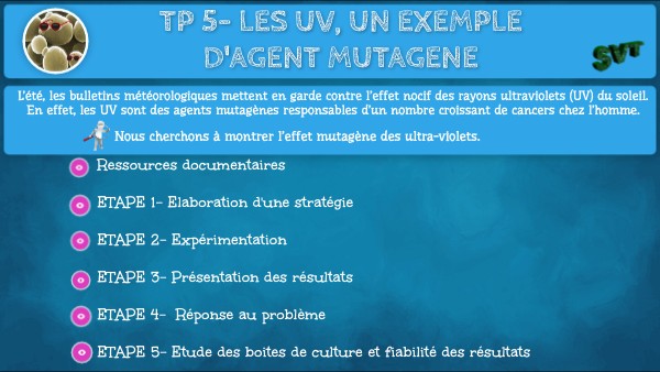 TP 5- UV et Levures | Genially