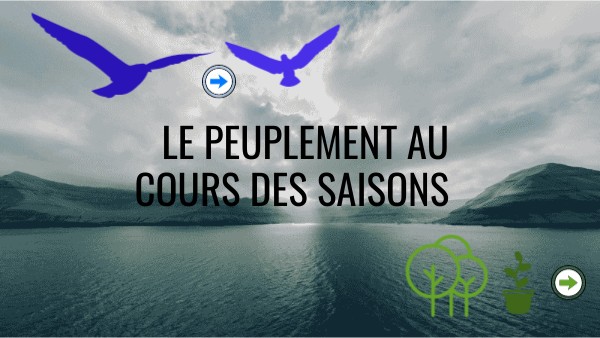 Le peuplement au cours des saisons | Genially
